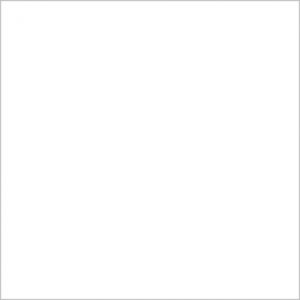 White Cellulose Primer – Manchester Guitar Tech